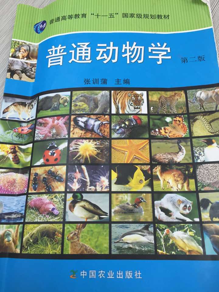 植物界门纲目科属种界门纲目科属种界门纲目科属种总表第7页大山谷图库 1926