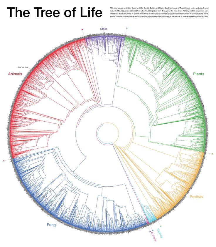 地球演化中有哪些超乎人想象的现象？ - 知乎