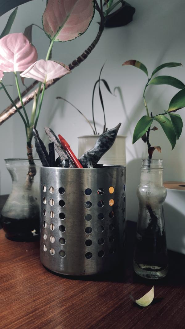 周白之白 的想法: 一叶落而知秋。 #被治愈的一瞬间 - 知乎