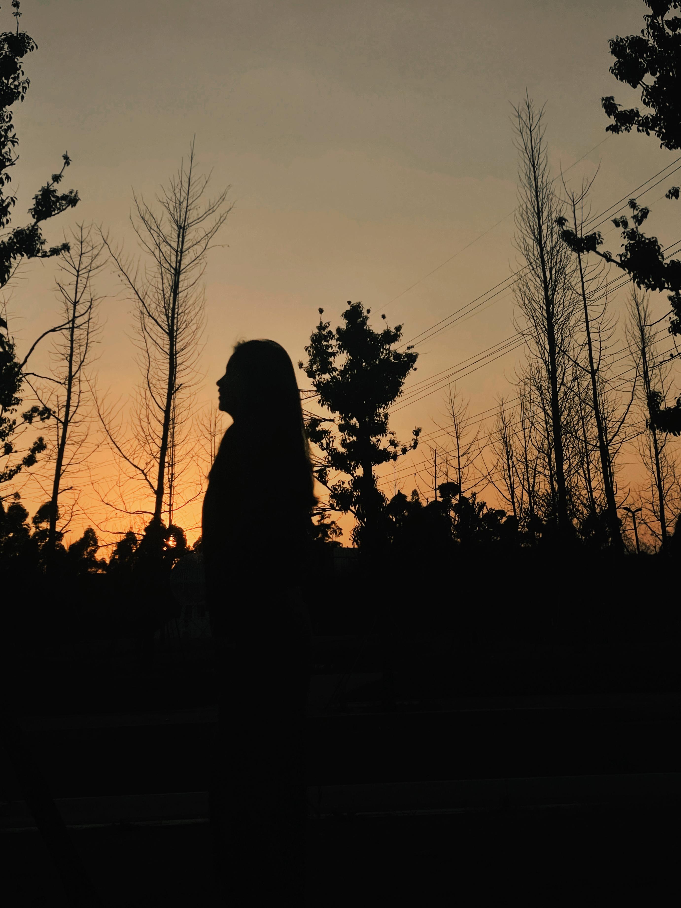 喵树在职场 的想法: 文科生就业高薪方向，你了解多少？ | 时常刷小红书还是能看到：张雪峰劝家长不要让孩子学新闻学的讨论帖… - 知乎