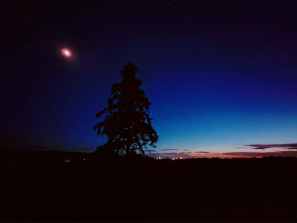 析木顽学家 的想法: 月下独酌 | 🌄 分享镜头里的瞬间:月夜山顶独赏 📷 分享我的拍摄设备：荣耀magic5 💡 镜头定格的故事： 月夜独 ...