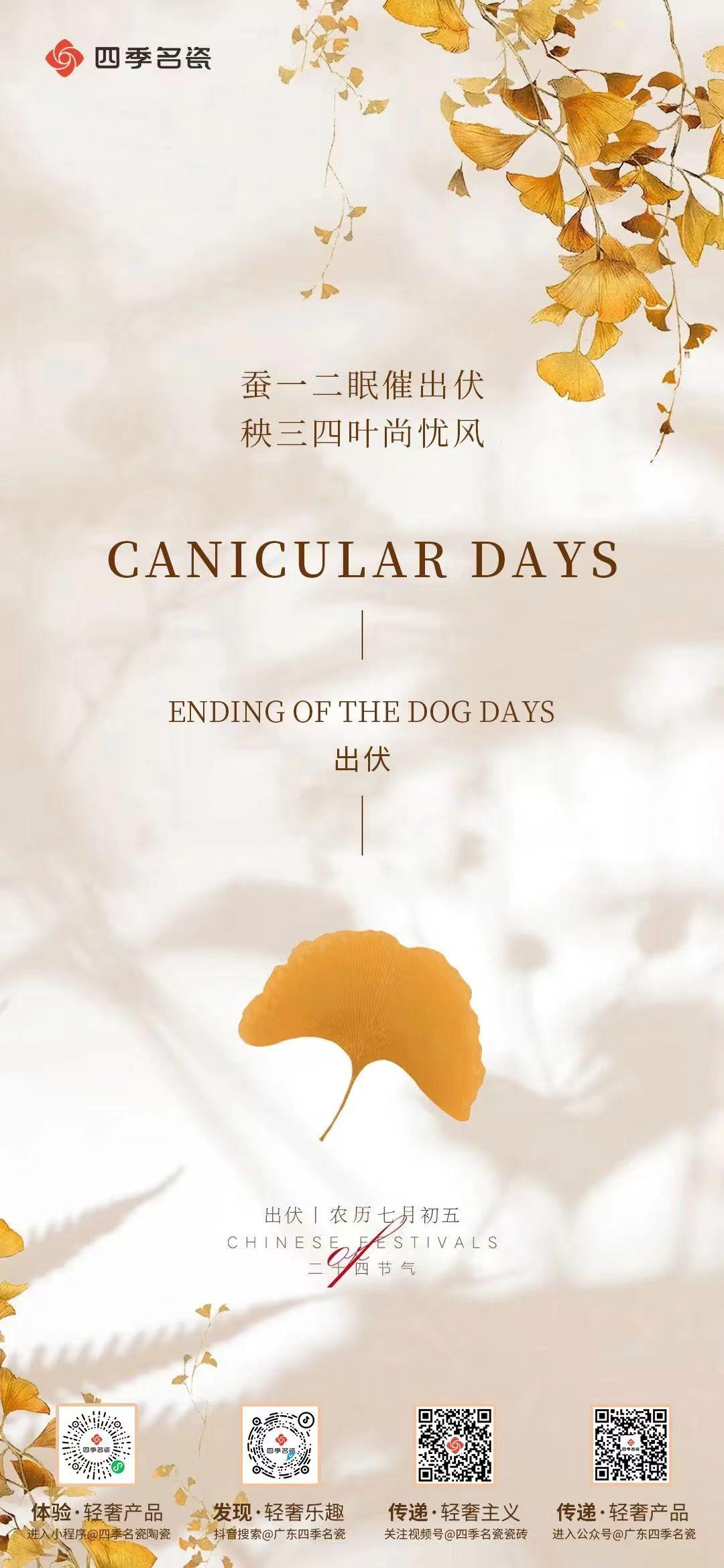 四季名瓷 的想法: 出伏Canicular Days | » 蚕一二眠催出伏» 秋三四叶尚忧风#四季名瓷 #家装要颜值用四季名瓷 #今日出… - 知乎