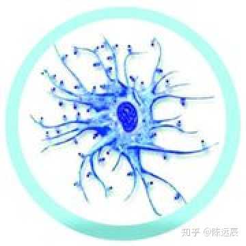 2018 年 7 月新番《工作细胞》涉及哪些生物医学知识？ - 知乎