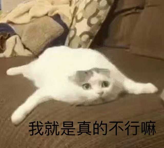 大家,有没有猫的沙雕表情包? 知乎