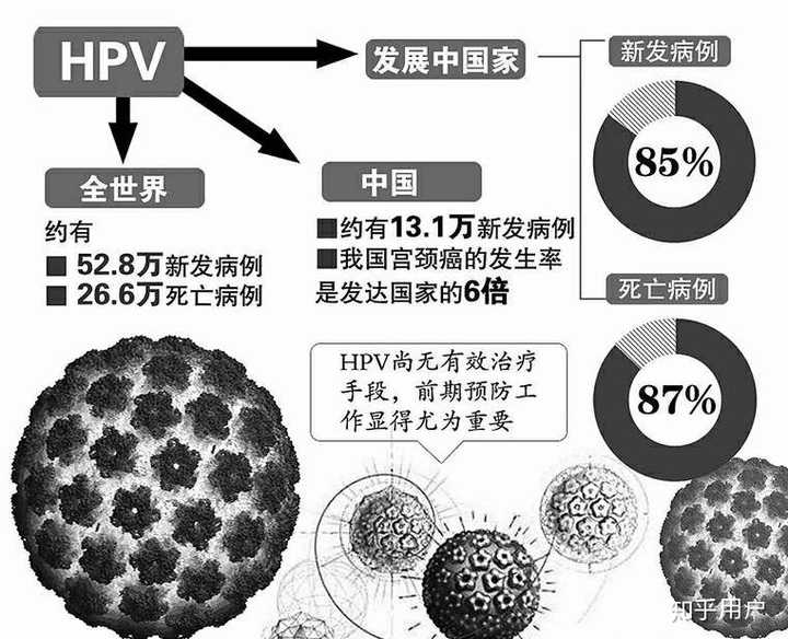 hpv51对男性的危害是什么？ - 知乎