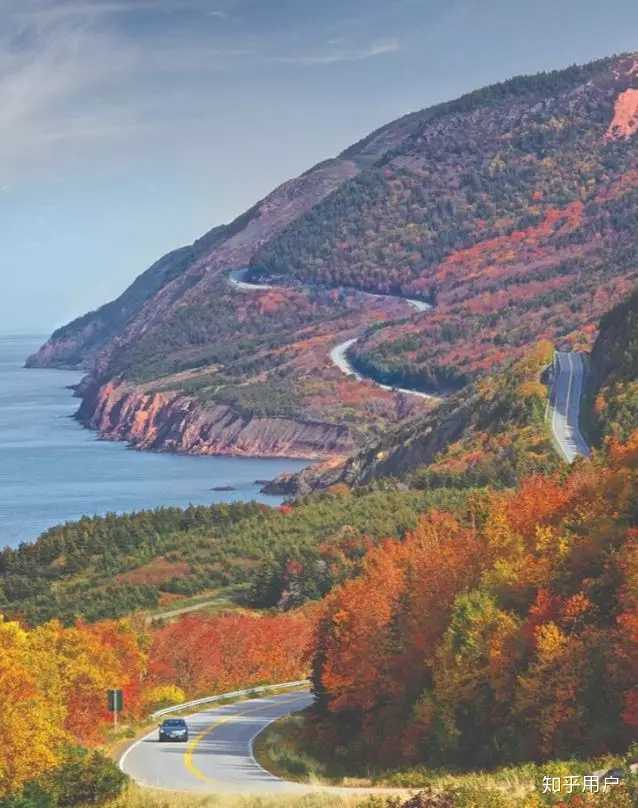 加拿大的枫叶，哪个时间普遍变红？ - 知乎