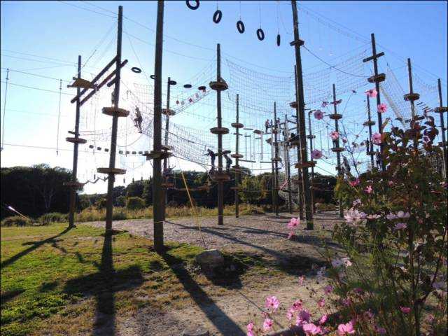 在加州大学圣地亚哥分校 (UCSD) 就读是怎样的体验？ - 知乎