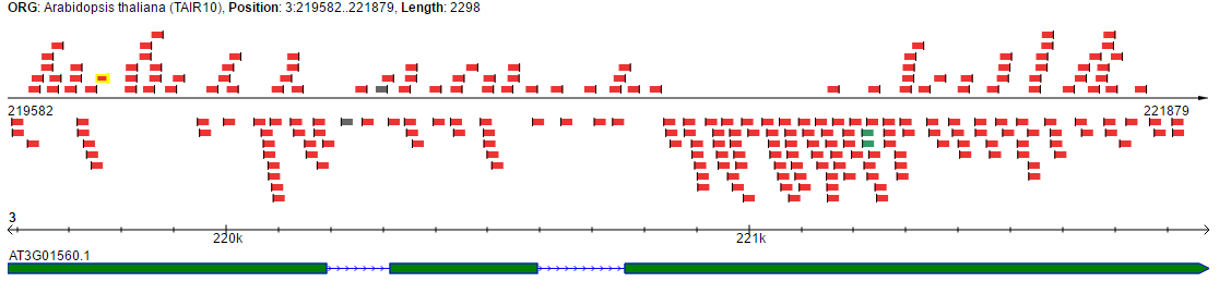NgAgo-gDNA 这一技术如果被广泛证明有效，可以突破目前基因编辑上的哪些瓶颈？ - 知乎