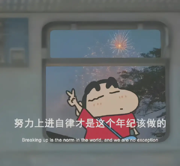左一 的想法 努力追上那个曾经被附予厚望的自已，不 知乎
