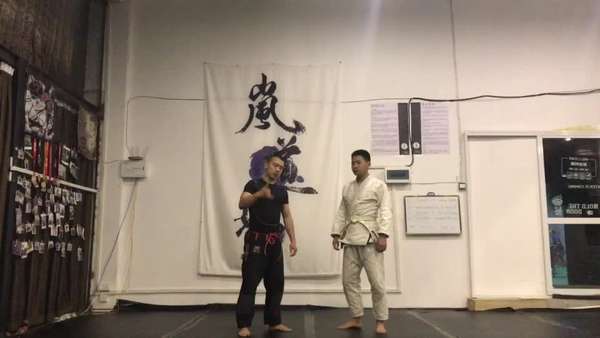 X-Guard的四种基本位置 - 知乎