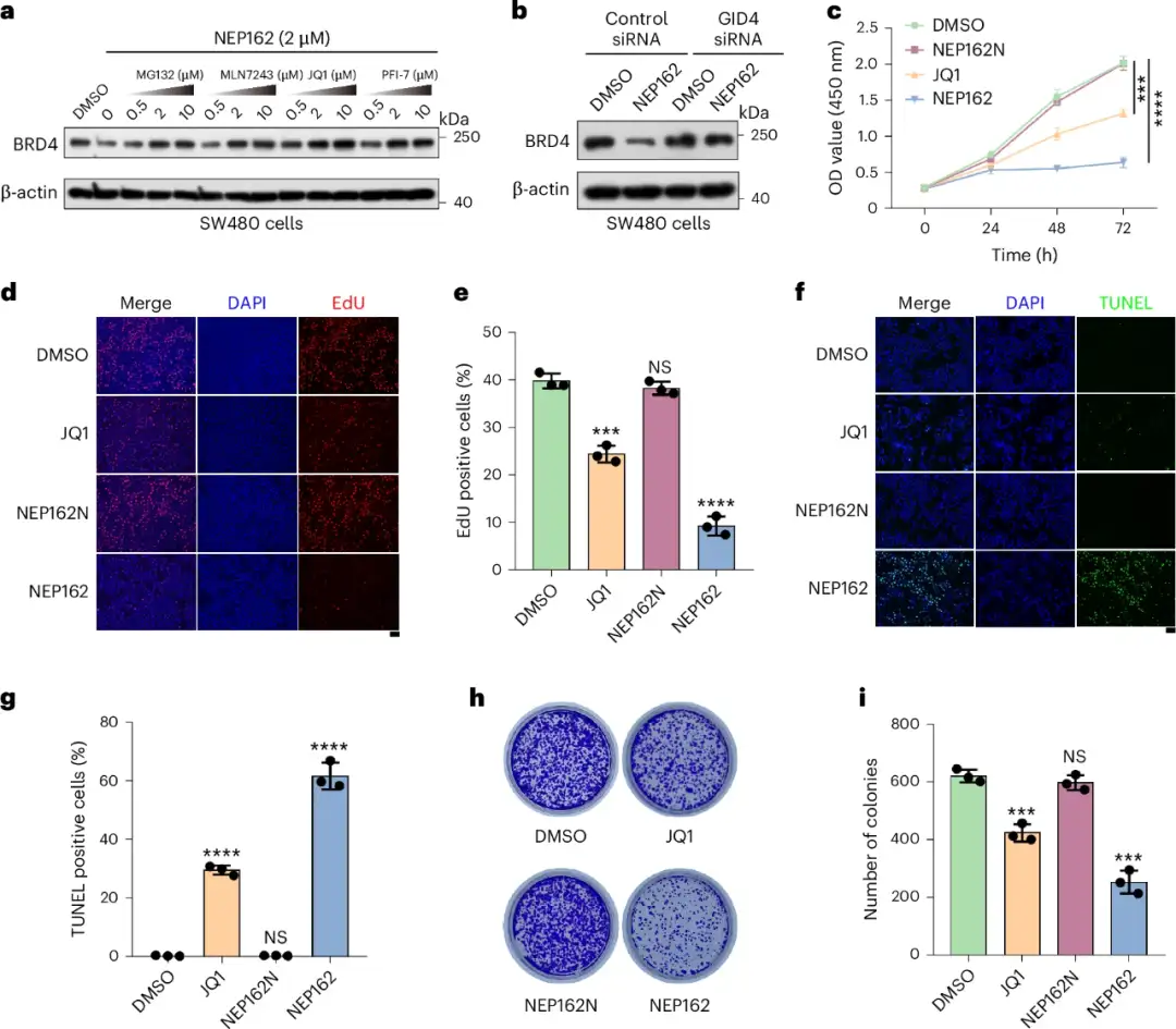 中国科学家Nature子刊：PROTAC“迎来”全新E3连接酶