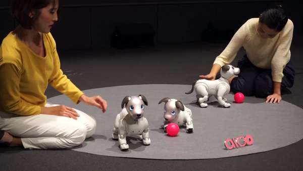 如何评价索尼的新款AIBO电子宠物狗？ - 知乎