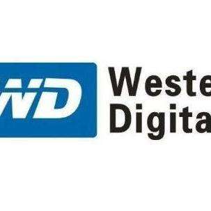 威腾电子/西部数据（Western Digital） - 知乎