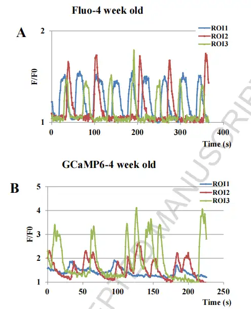 基因修饰神经干细胞-公司新闻-武汉枢密脑科学技术有限公司