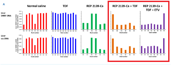 慢乙肝治疗新动向：REP 2139-Ca - 知乎