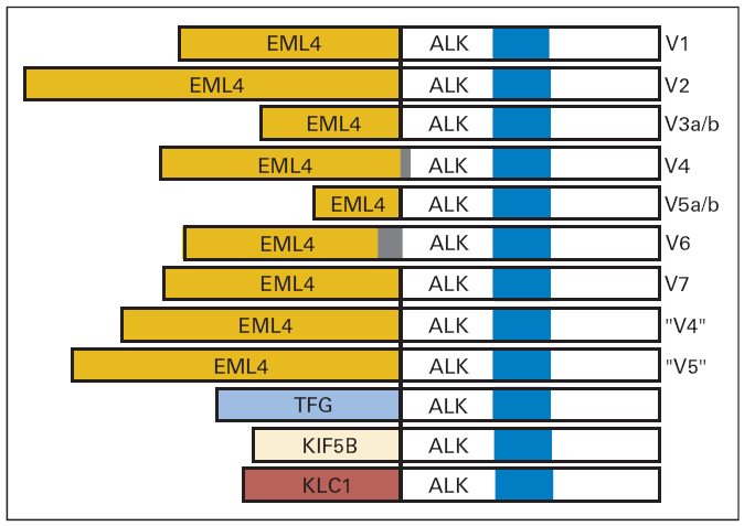 ALK基因突变和对应的靶向药物（最全梳理） - 知乎