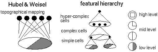 美国人文与科学院Poggio院士谈神经科学与人工智能 - 知乎