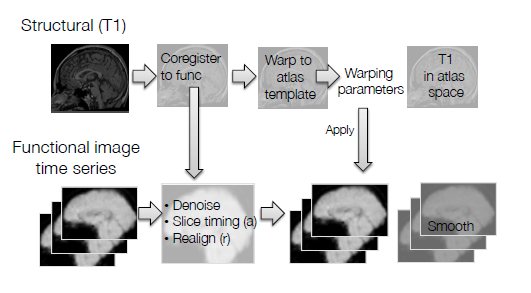 【fmri Note】module 14 Pre Processing Of Fmri Data Part2 知乎