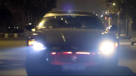 新手扒哥扒电影——萌宠题材成网大新宠，特效水平仍需努力 - 知乎