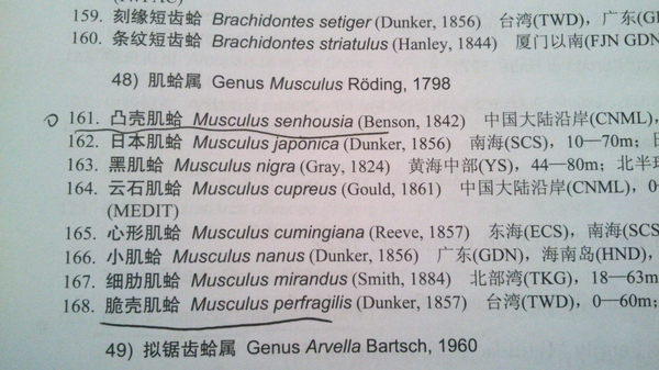 花蛤、蛏子、蚬子、蚶子、蛤蜊、海瓜子、贝壳都有什么区别？ - 知乎