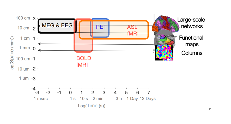 【fMRI Note】Module 1 Introductions and Ground Rule - 知乎