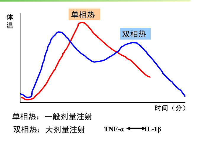 想问问什么是单相热和双相热？ - 知乎