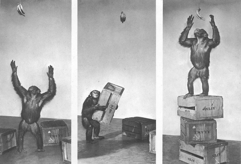 从草履虫到天才儿童——AlphaGo的进化 - 知乎