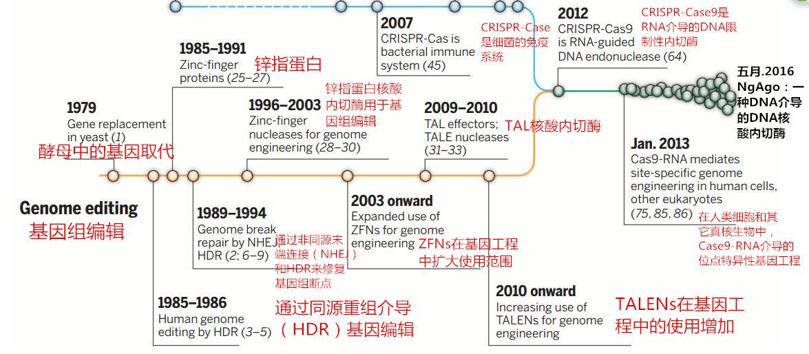 基因组编辑技术发展概述 - 知乎