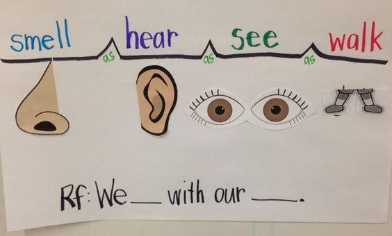 怎么使用思维导图？ - 知乎