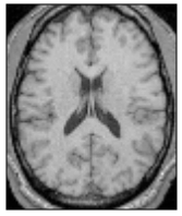 【fMRI Note】Module 3 fMRI Data Structure - 知乎