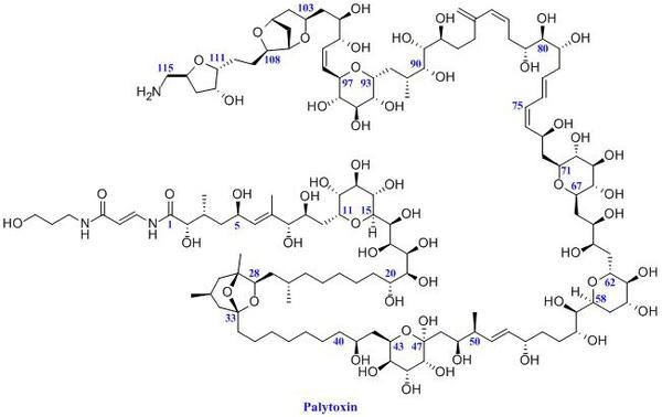 化合物结构与生物毒性（一）：从Curacin A谈起 - 知乎