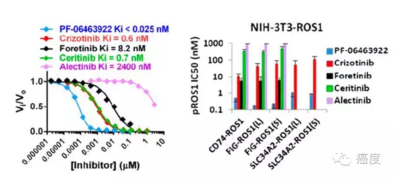 ROS1融合突变和靶向药物 - 知乎
