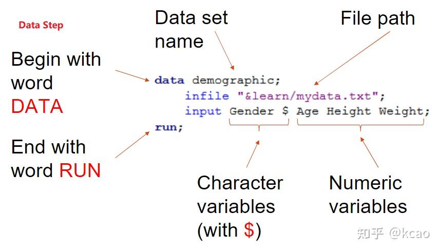 【SAS编程】第1-2章 SAS基础 - 知乎