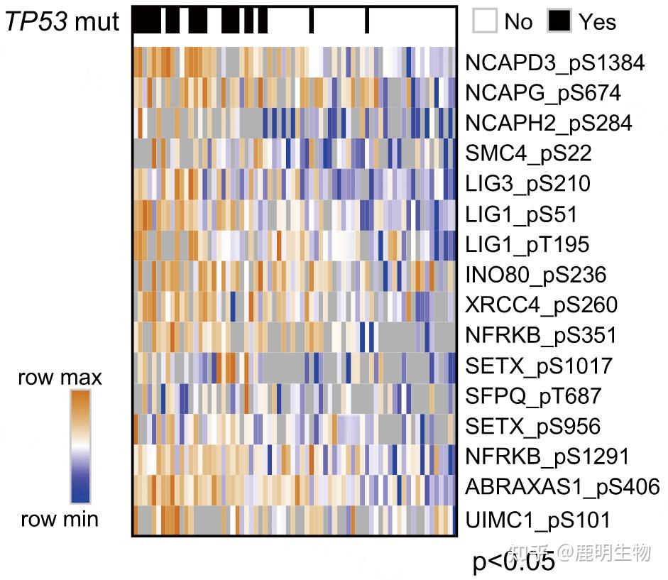 揭秘东亚非吸烟肺癌的蛋白质组学和基因组描述发病机制和进展特征 - 知乎