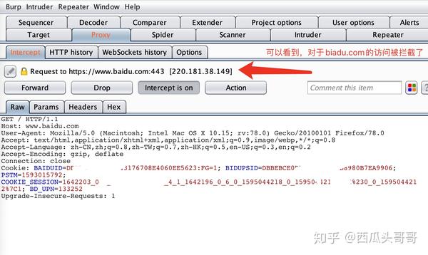 CTF小白入门-Burp Suite安装及使用（一） - 知乎