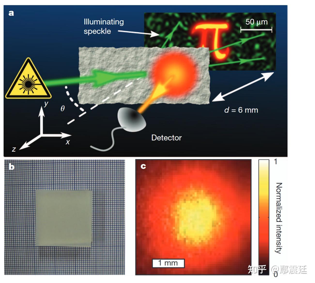 Non-invasive imaging through opaque scattering layers阅读笔记 - 知乎