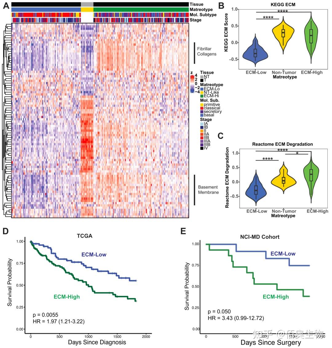 15分+的ECM生信分析都能做些啥？ - 知乎