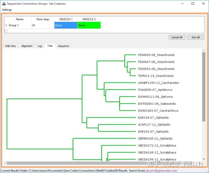 探索Sequencher软件的Connections功能 - 知乎
