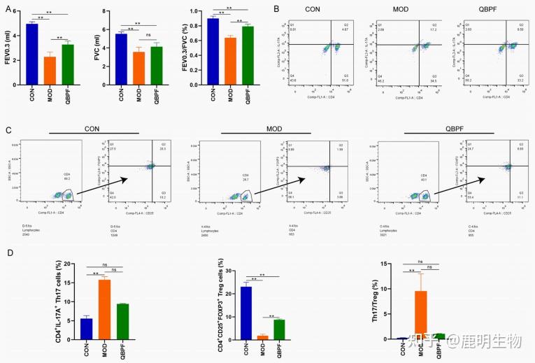 转化医学微生物多样性发现芪白平肺胶囊治疗慢性阻塞性肺病机制 - 知乎