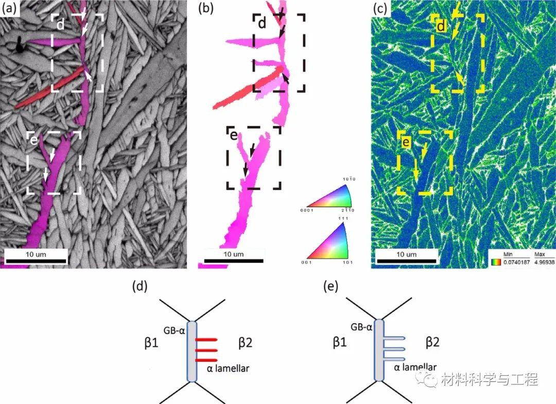 上海理工《Scripta Mater》：3D打印钛合金晶界α相的析出与粗化！ - 知乎