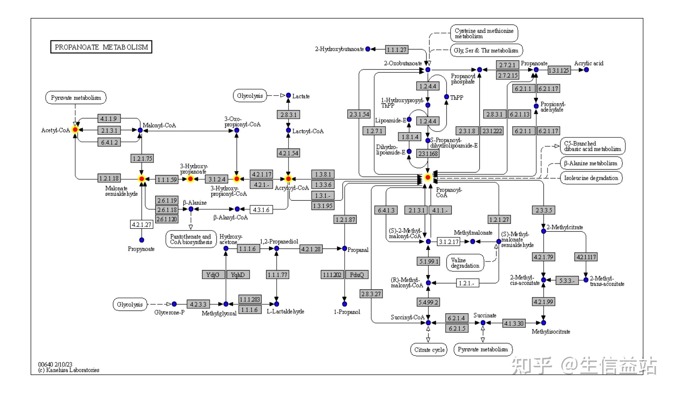 玩转KEGG (三)——遥遥领先pathview！ ggkegg可视化KEGG通路、模块与网络 - 知乎