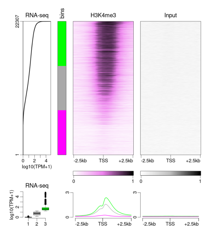 生信爱好者周刊（第 47 期）：RStudio 改名 Posit - 知乎
