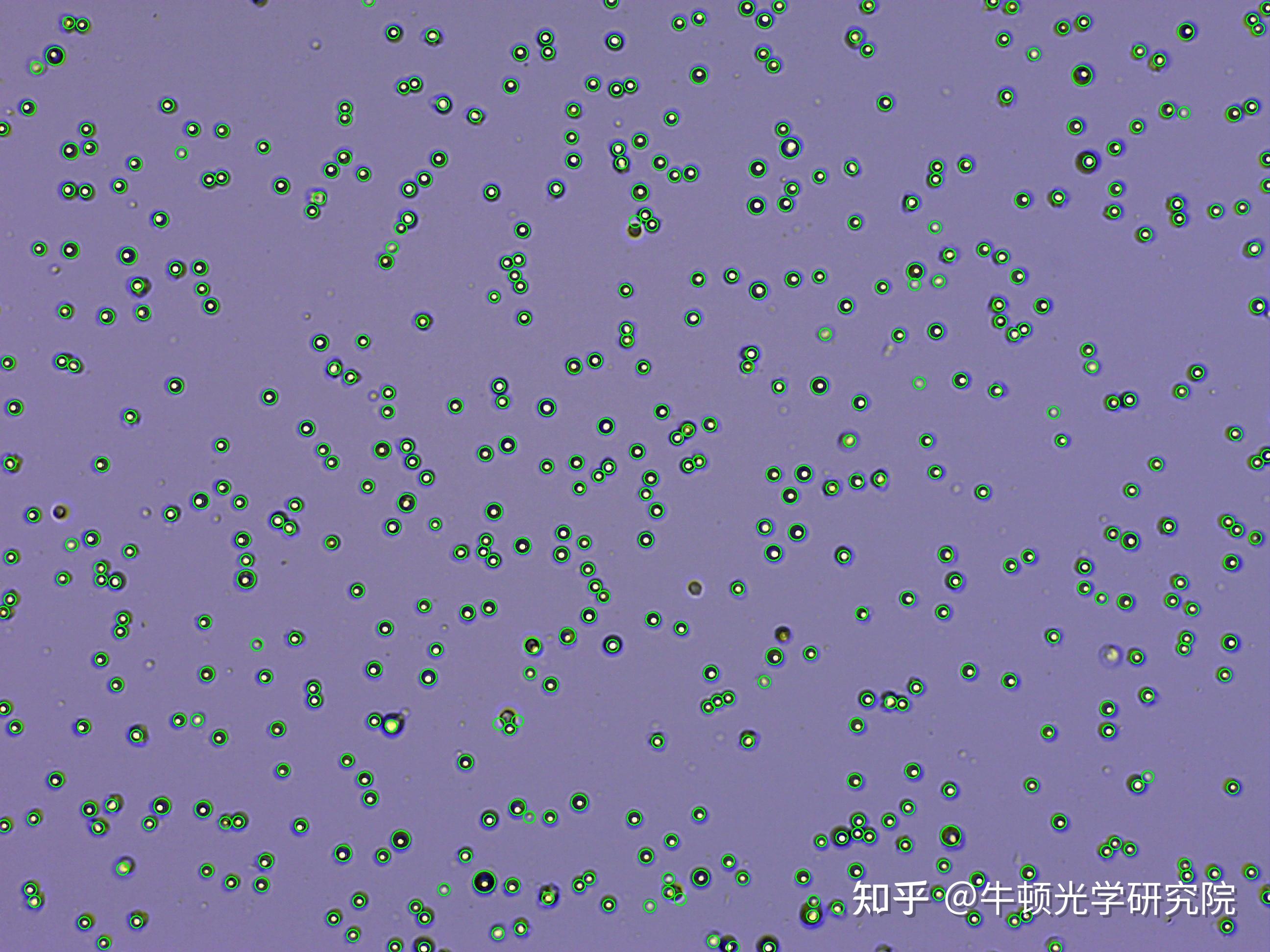 【细胞解读系列】关于A549，您一定要知道的那些事 - 知乎