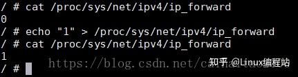 介绍Linux文件系统proc - 知乎