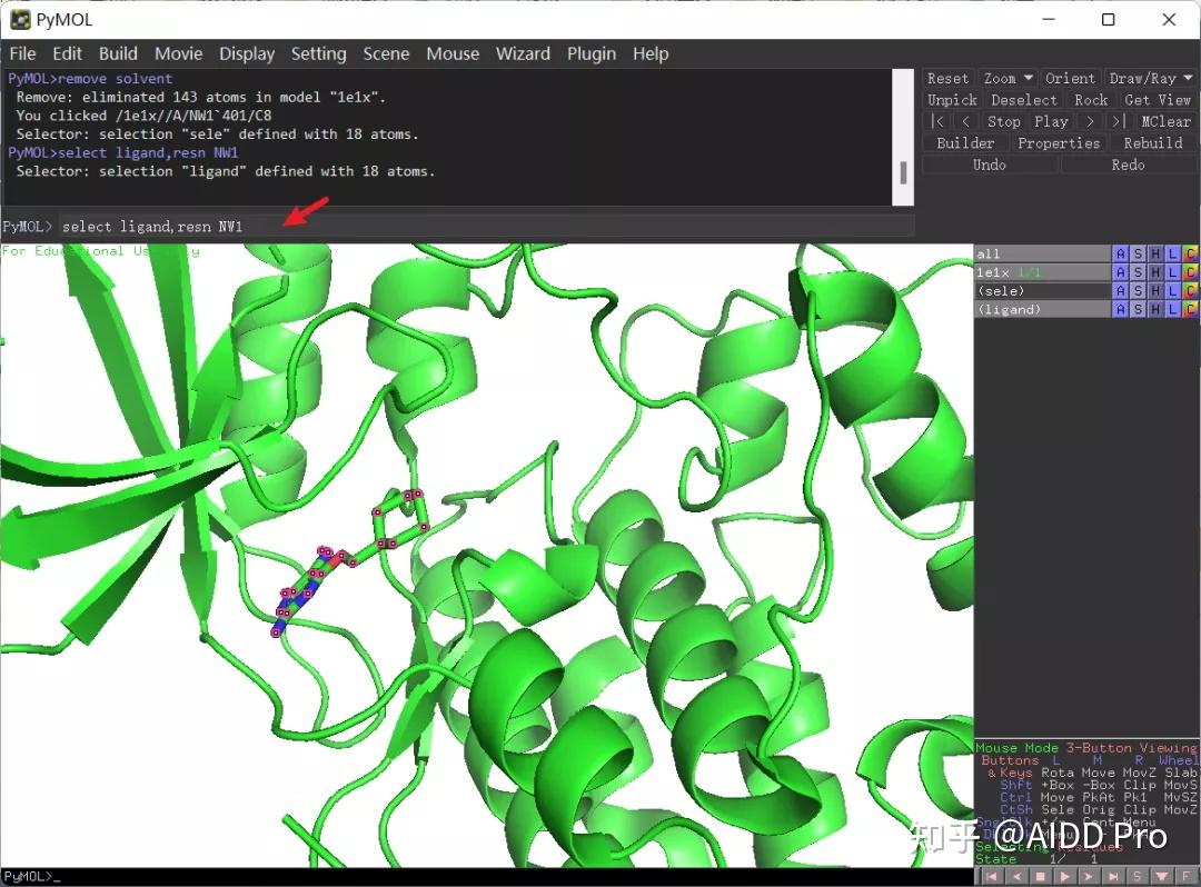 使用AutoDockFR进行分子对接教程--半柔性对接 - 知乎