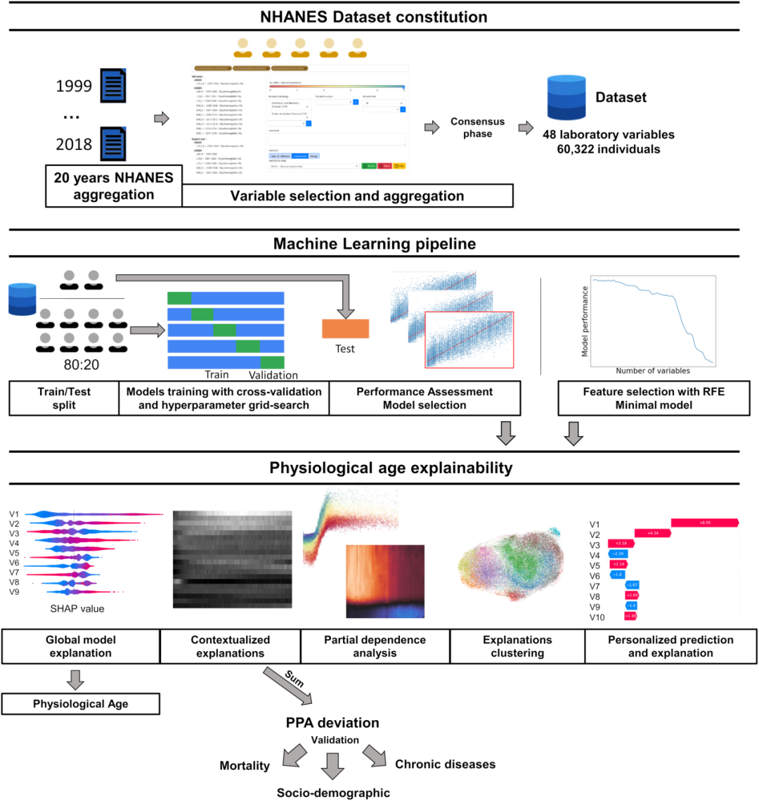 Q1区7分+ NHANES数据库分析文章，机器学习和人工智能分析是高分的秘密！ - 知乎