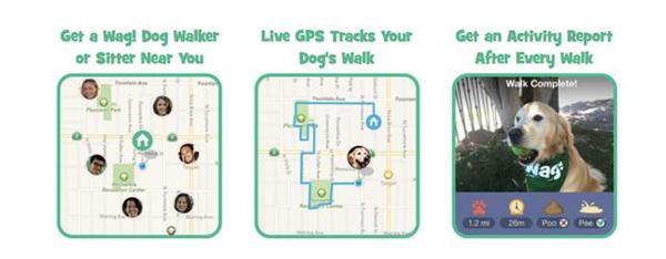 共享+宠物：Wag-可以帮助繁忙狗主人的首选遛狗和训狗应用程序 - 知乎