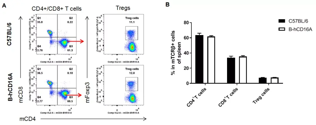 靶向CD16A，激活先天免疫系统的ADCC效应 - 知乎