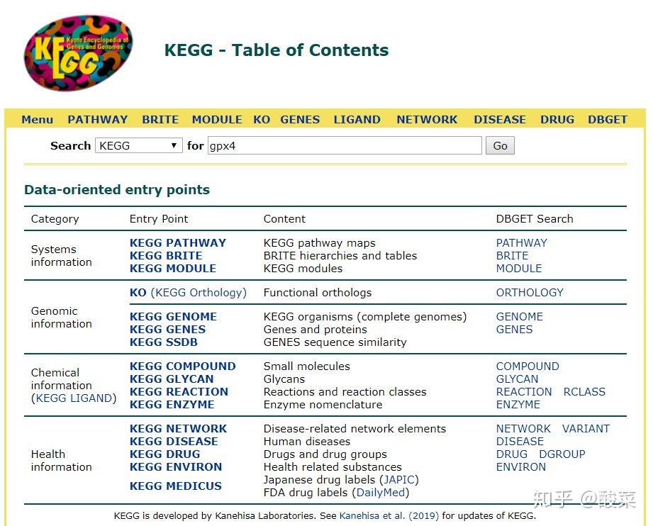 那些 科研汪最想了解的KEGG基本功能 - 知乎