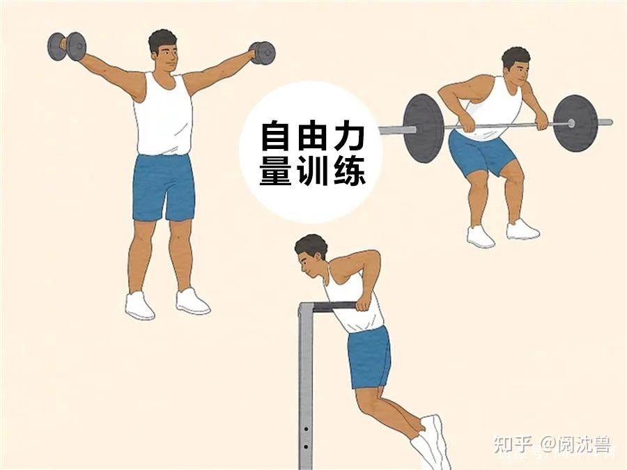 健身达人都在用的健身法宝：有氧运动与力量训练的结合 - 知乎